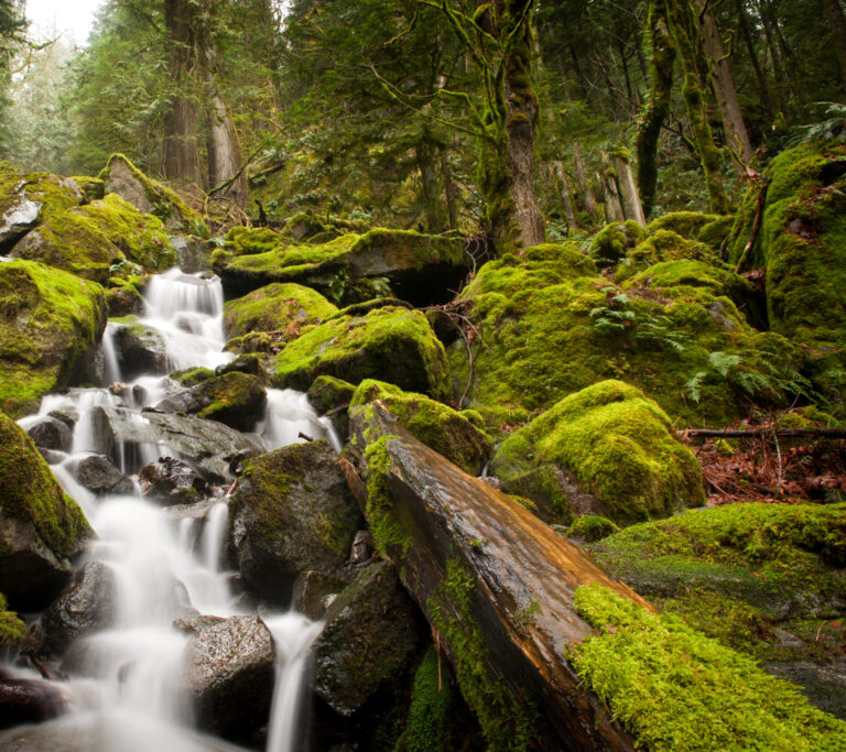 Integrated Cadastral Fabric and ParcelMap BC - LTSA